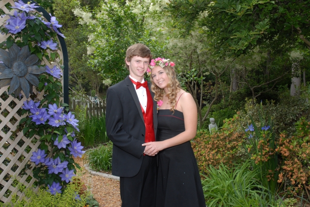 Prom Night | A Heron's Garden