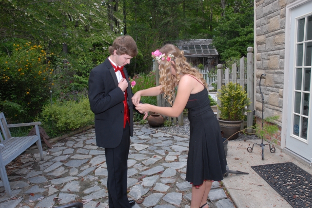 Prom Night | A Heron's Garden