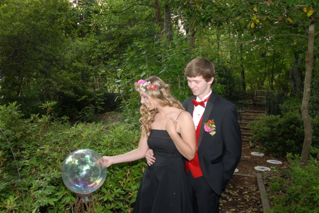 Prom Night | A Heron's Garden