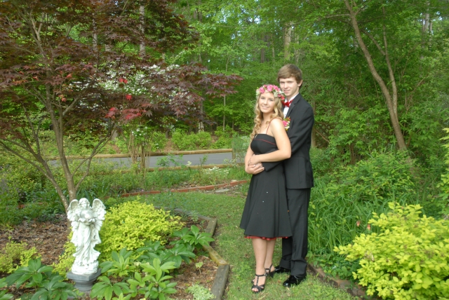 Prom Night | A Heron's Garden