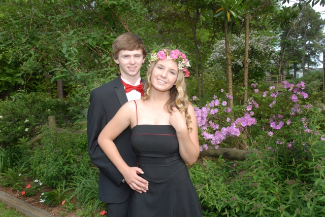 Prom Night | A Heron's Garden