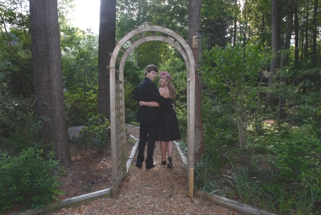 Prom Night | A Heron's Garden